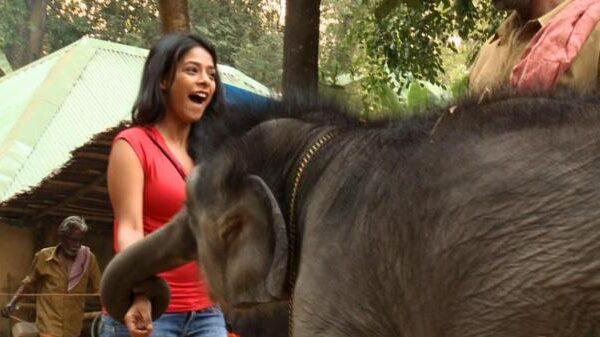 FOX Traveller Presents The New Season Event Stills - M9.news