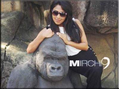 Amala Paul's visit to the wild - M9.news