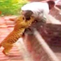 Sudden attack video goes viral on WhatsApp - M9.news
