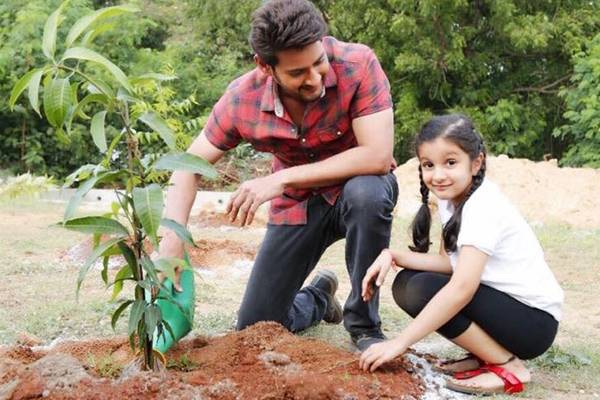 పర్లేదు... మహేష్ బానే కష్టపడ్డాడు..! - M9.news
