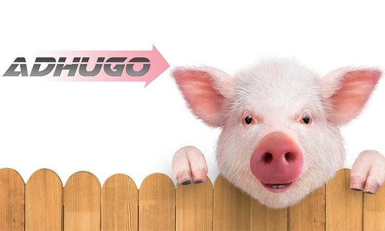 Adhugo Trailer Talk: Typical Ravi Babu Madness With A Piglet