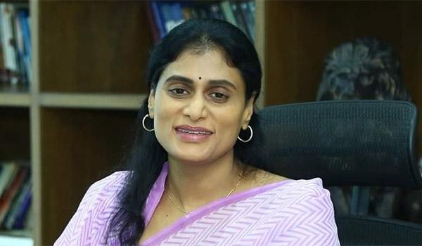 First Big Catch For Sharmila?