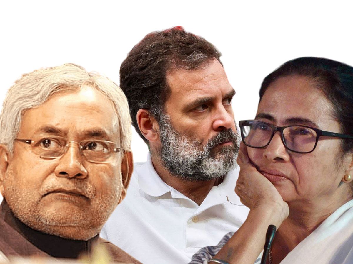 Nitish Kumar Rahul Gandhi Mamata Banerjee Who is PM Candidate