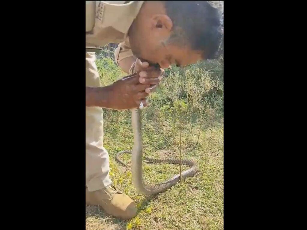 Snake Receives CPR From Police Man