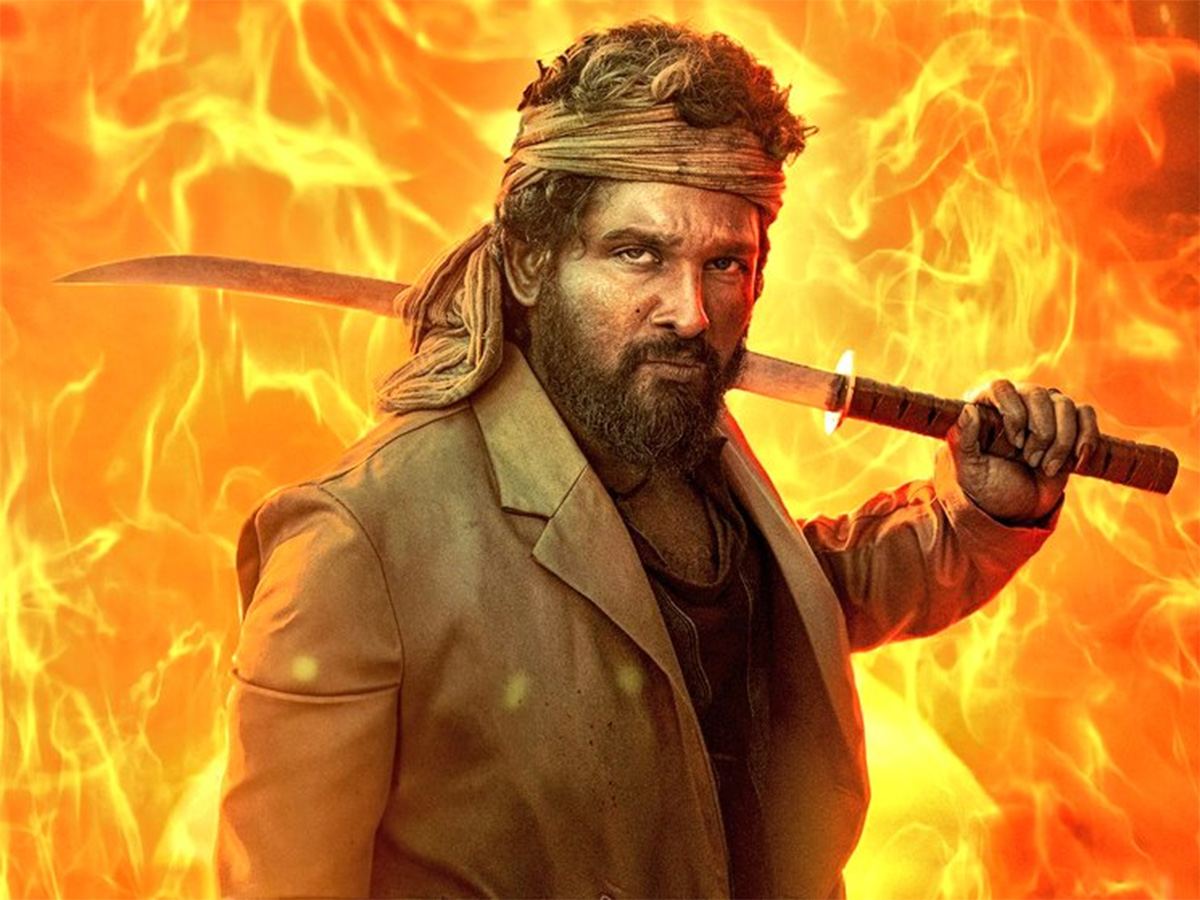 Pushpa 2 3D and IMAX Mixed Response