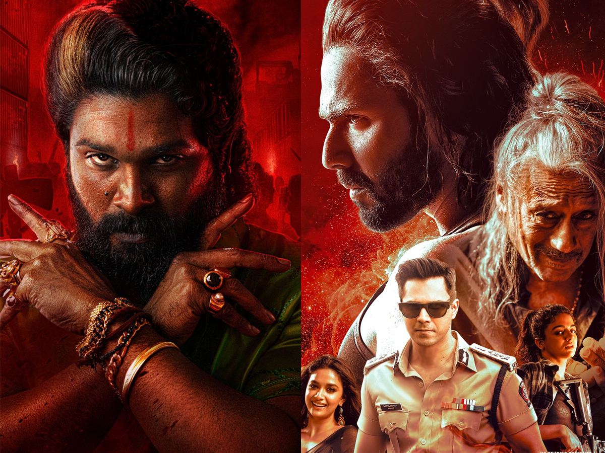 Pushpa 2 The Rule vs Baby John: Distributor Wants Revenge?