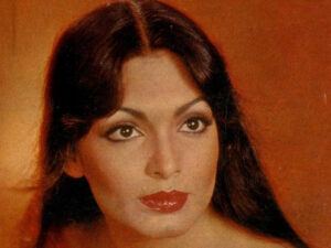 Parveen Babi - One Star, Many Biopics: Audience Says Enough?