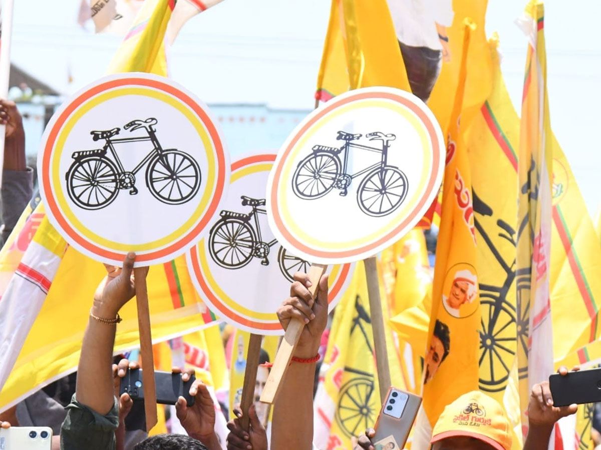 Can TDP Correct Its Political Mistakes?