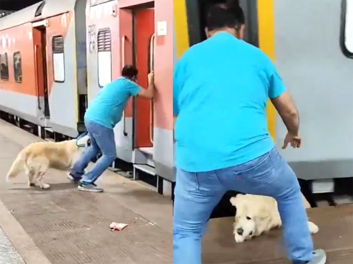 Viral Video: Owner’s Train Rush Nearly Kills Dog