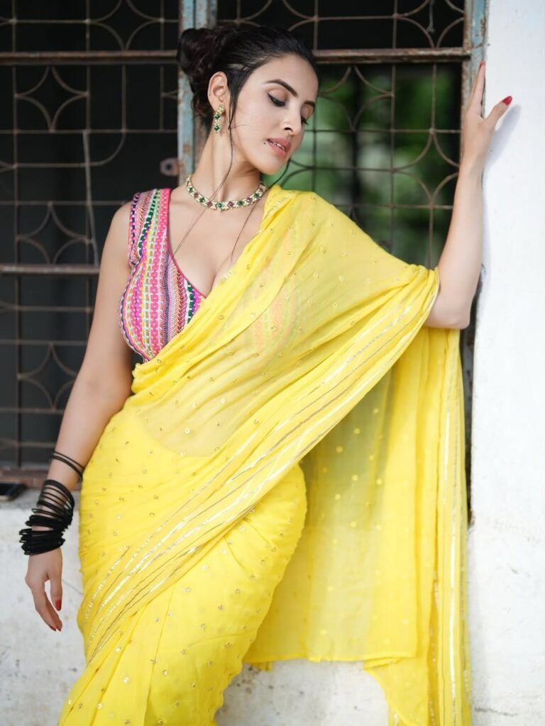 Priyanka Kholgade In Bold Blouse and Ethnic Saree Look