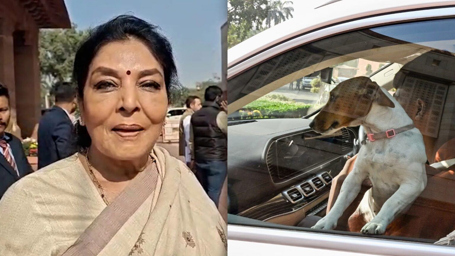 Renuka Chowdhary Sparks Debate by Bringing Dog to Parliament